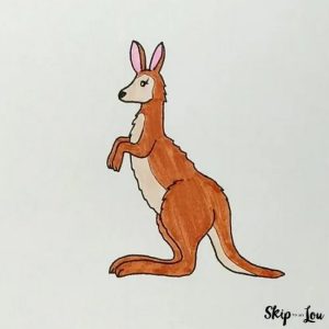 27 Easy Kangaroo Drawing Ideas - How To Draw Kangaroo - The Julie Art
