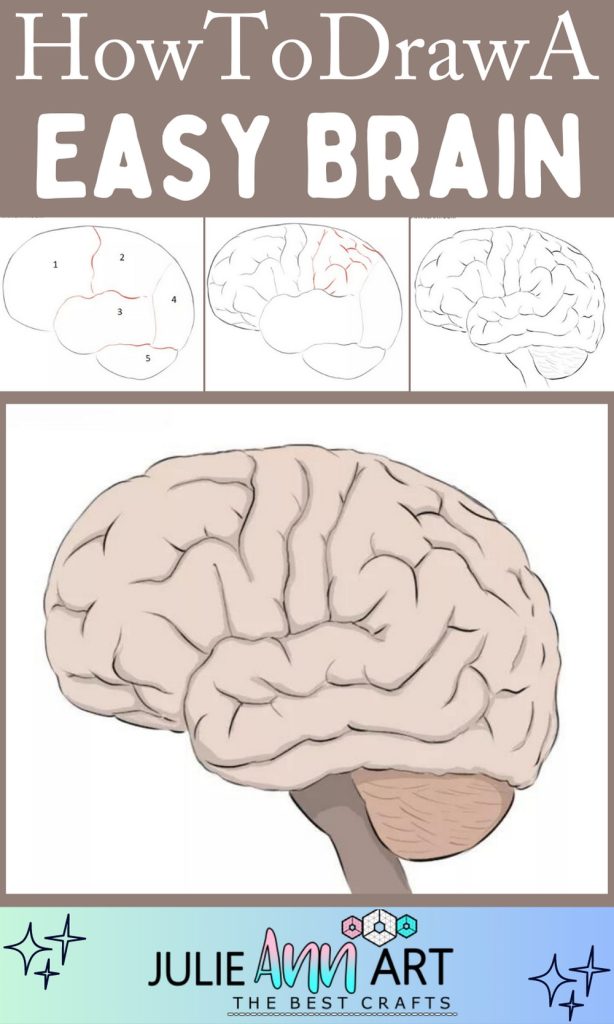 12 Easy Brain Drawings With Step by Step Guides - The Julie Art