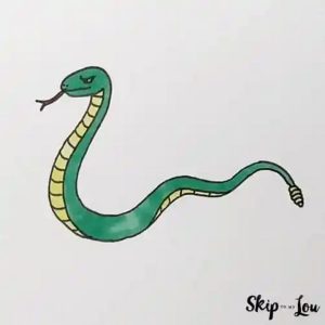 26 Easy Snake Drawing Ideas For Reptile Lovers - The Julie Art