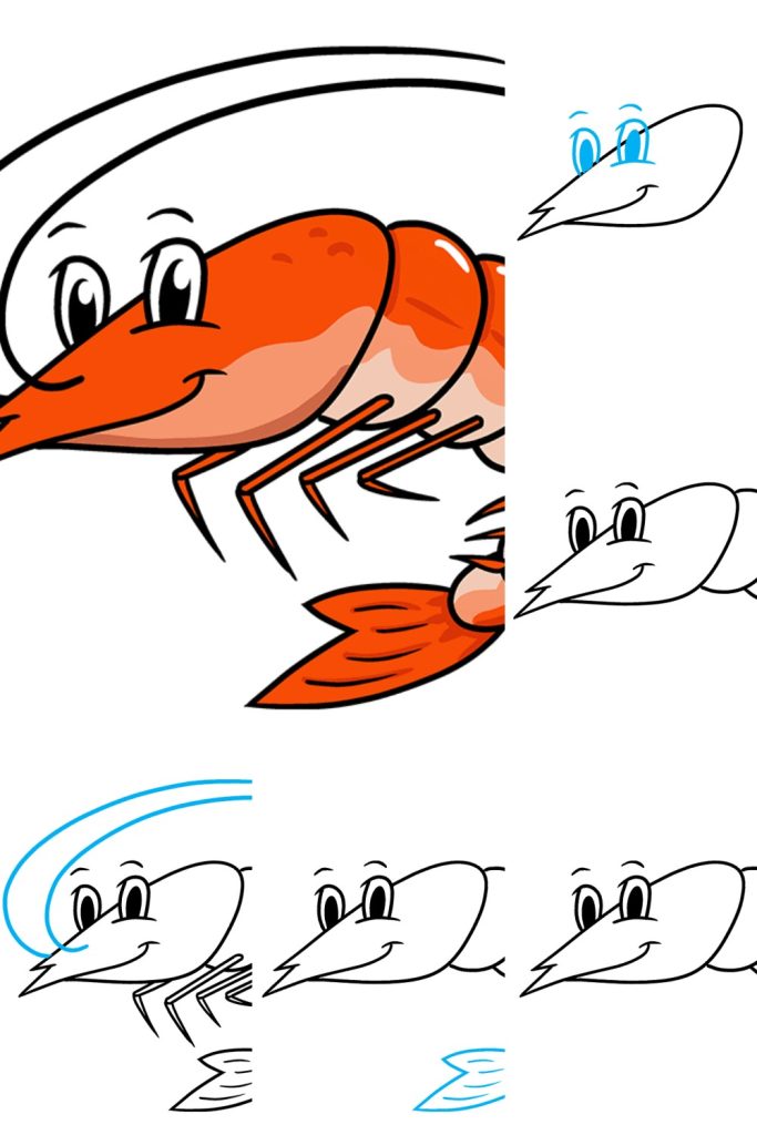 15 Shrimp Drawing Ideas For Marine Lovers - The Julie Art