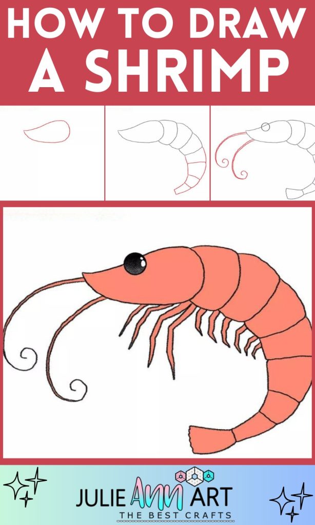 15 Shrimp Drawing Ideas For Marine Lovers - The Julie Art