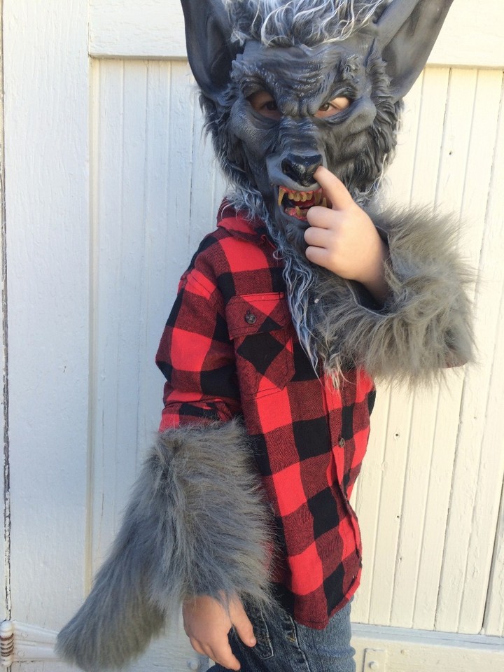 10 DIY Wolf Costume Ideas For Halloween Parties - The Julie Art